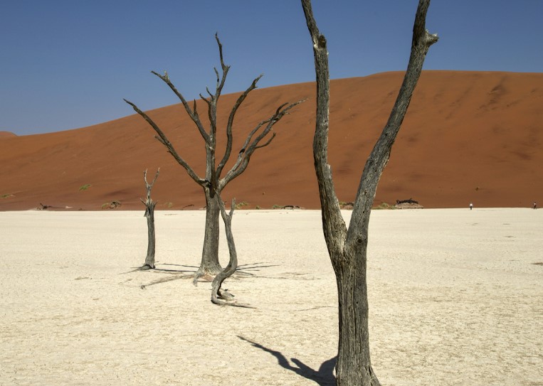 ACACIA (Horizon Europe) – EU Horizon Europe project